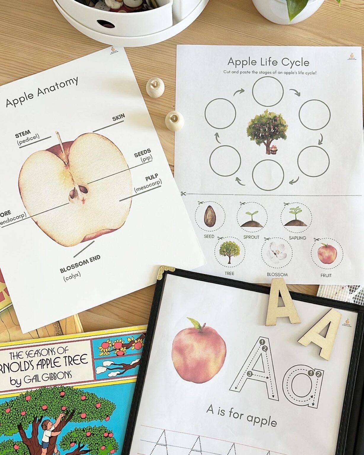 Apple Study – Healthy Grocery Girl