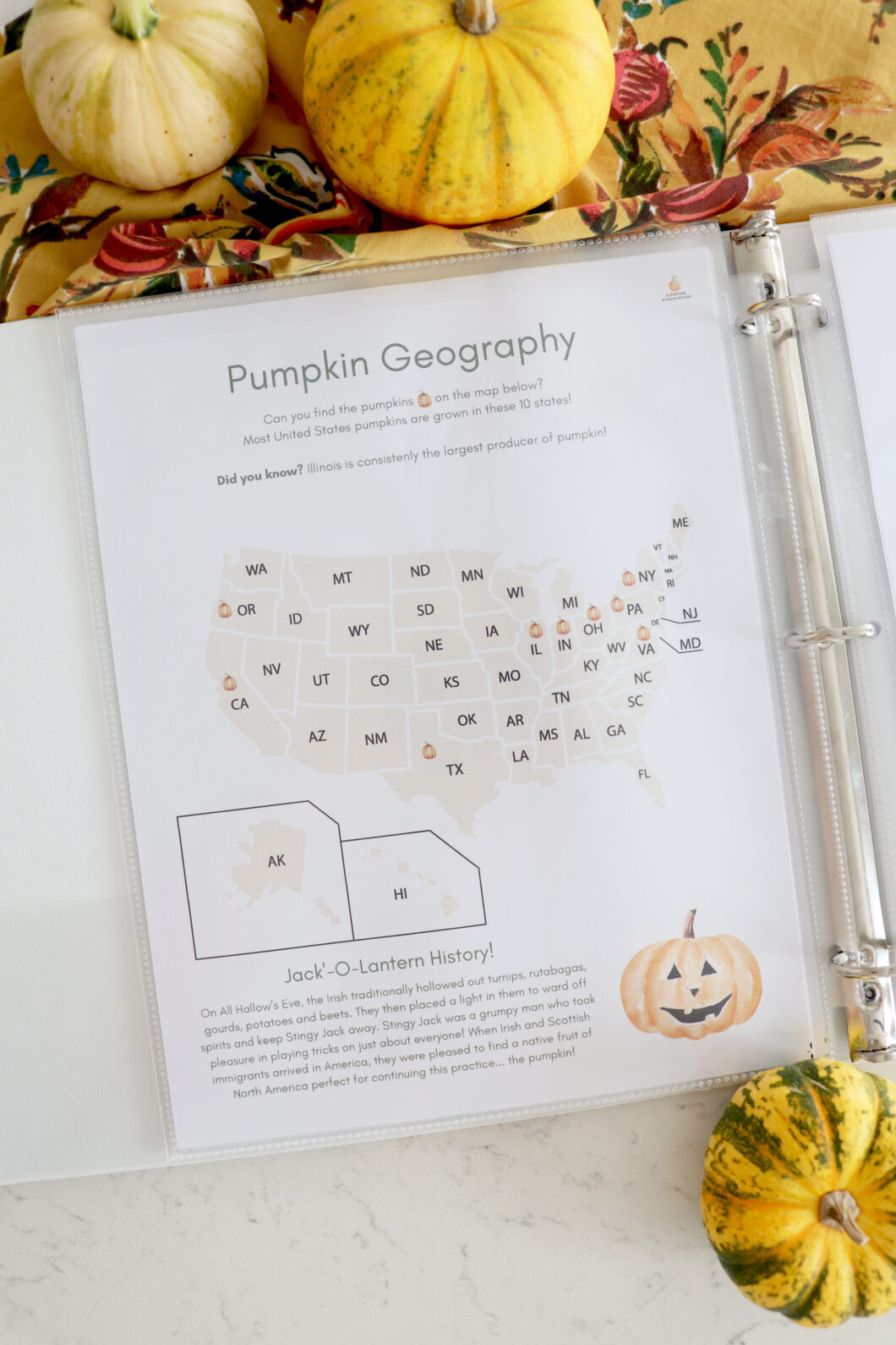 Pumpkin Study – Healthy Grocery Girl